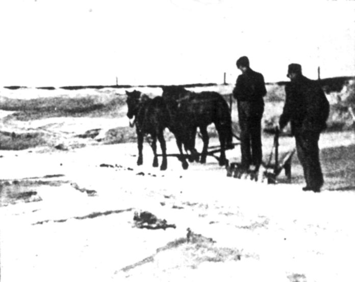 Ice Cold History - The Era of the Ice Harvesting Industry - MankatoLIFE